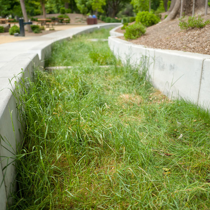 Bioswale Installation Mastery in the Greater Bay Area